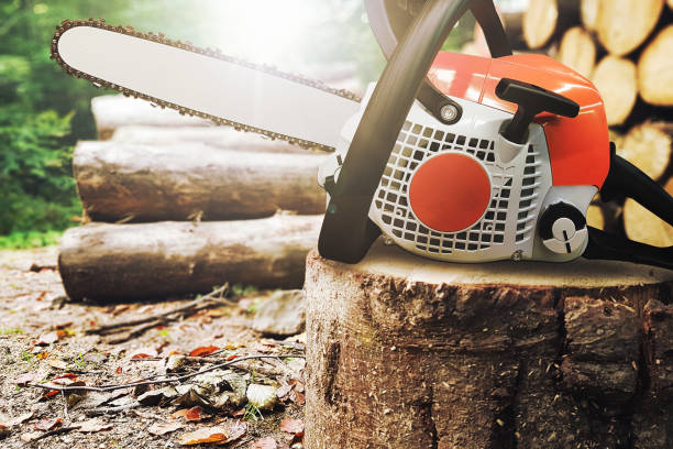 Summit, NJ Tree Removal Cost & Estimates | Call (833) 963-0463